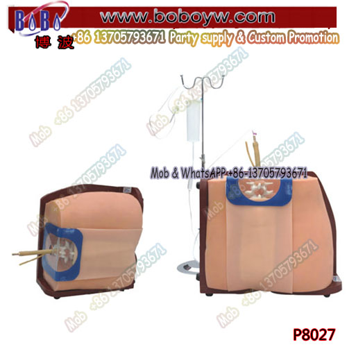 Medical Teaching Human Anatomical Model Medical Lumbar Puncture Model